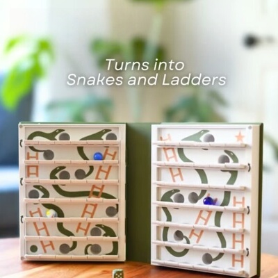 独立站新品 PlayBook'd Snakes and Ladders 游戏手册蛇梯棋玩具