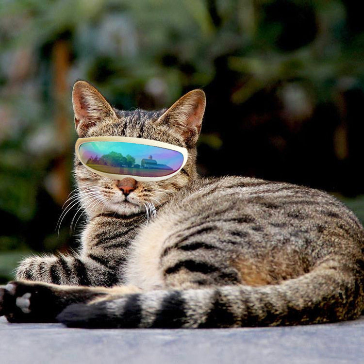 宠物眼镜狗狗用品护目镜防水防风防晒防紫外线猫咪眼镜厂家