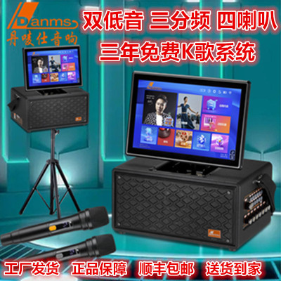 丹唛仕530户外K歌屏幕广场音箱