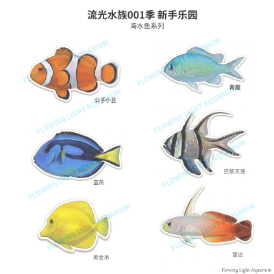 水族小丑鱼冰箱贴海缸玩家文创冰箱贴海水鱼系列亚克力冰箱贴装饰