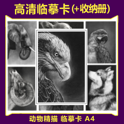 楚凡超写实精描微动物素描临摹卡