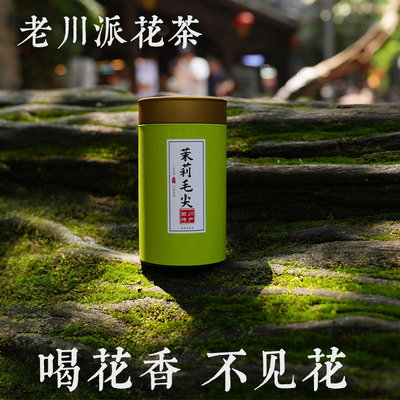 川派无花浓香茉莉毛尖茉莉花茶