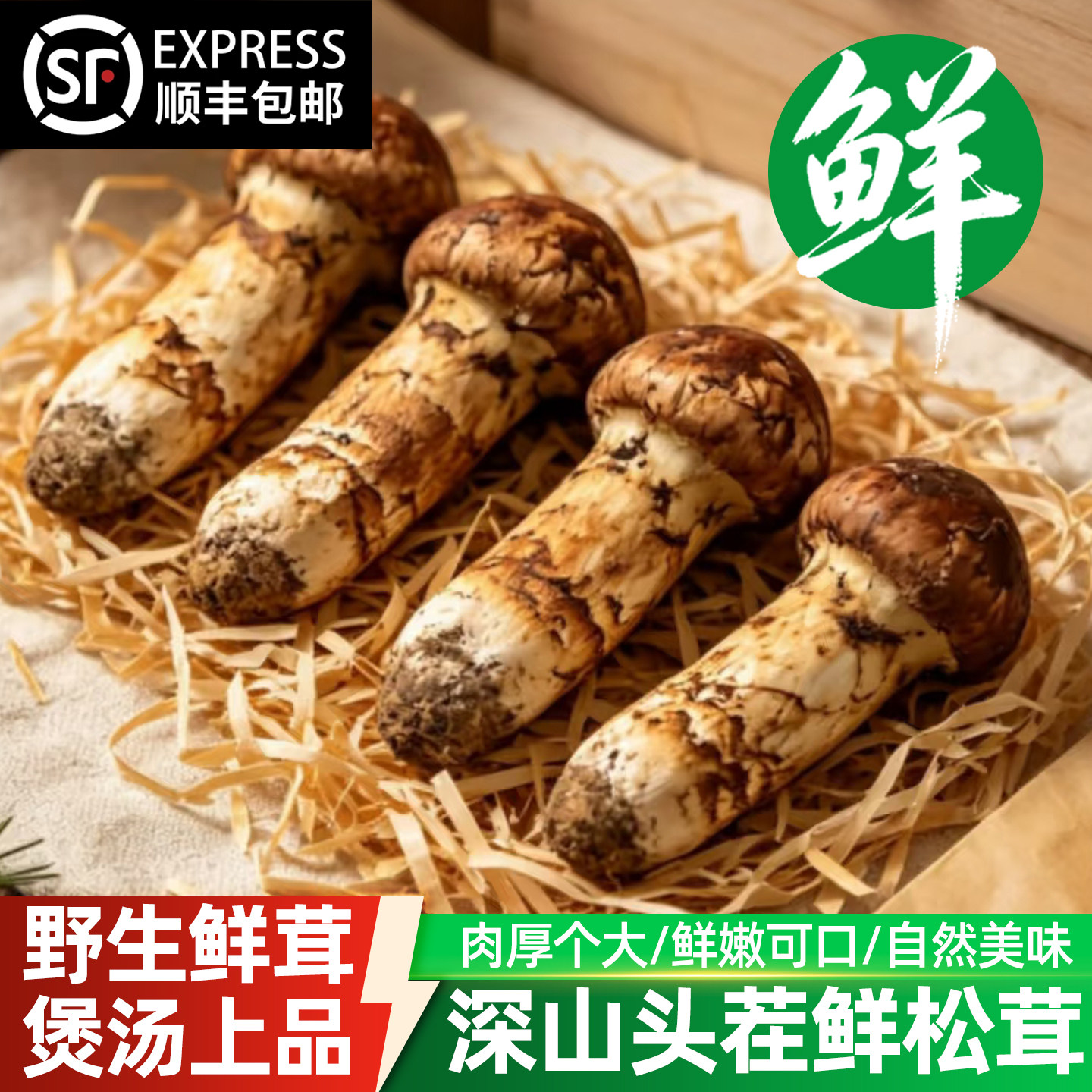 新鲜松茸野生菌云南特产出口级香格里拉不开伞特级食用菌菇2026