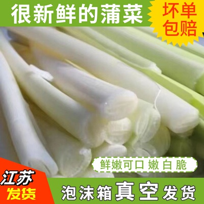 淮安蒲菜新鲜现摘蒲儿菜