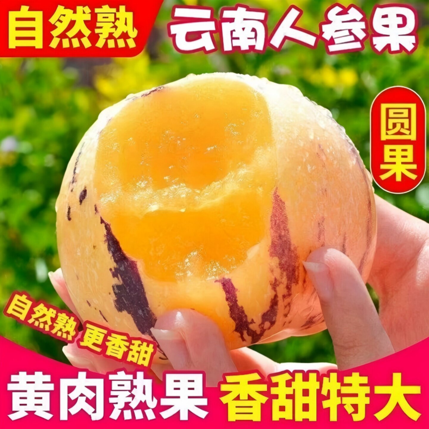 人参果新鲜水果当季整箱云南石林树上熟现摘现发七彩大果人叁果
