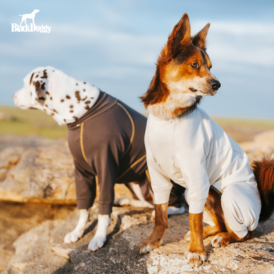 Blackdoggy狗狗四脚衣服秋冬睡衣盾护三防保暖衣防污防泼水防护衣