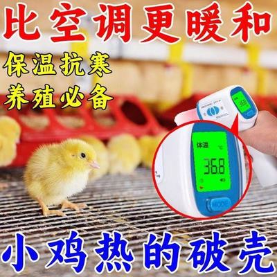 鸡舍铺垫鸡窝保暖狗笼取暖防寒宠物过冬神器猫咪冬季恒温保温毯