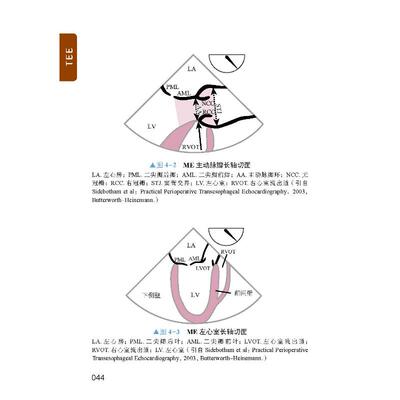 asy TEE掌中宝 (美)莱恩·格罗班,(美)钱德里卡·拉詹·加纳 9787504690609 中国科学技术出版社