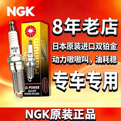 NGK火花塞93105适配神行者力狮傲虎驰鹏沃尔沃S80L V60 XC60 XC90