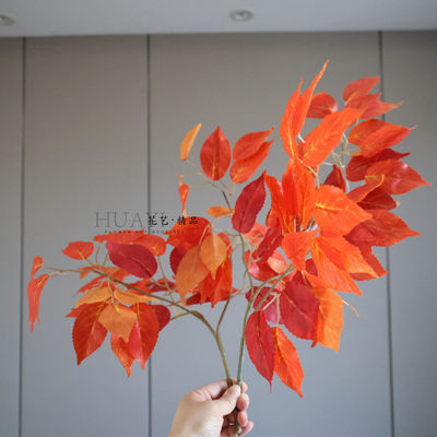 红色叶材红叶仿真乌桕叶造型自然大树装饰树叶白桦树叶秋叶黄杨叶