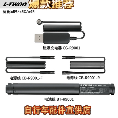 LTWOO蓝图磁吸充电线电池AD500