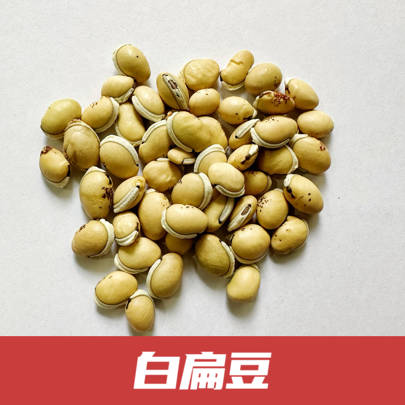 白扁豆批发中药材正宗黑眉白扁豆云南农家自种特产药用大粒