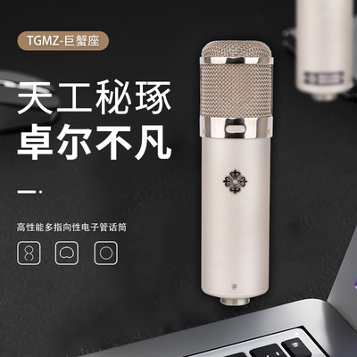 天工秘琢TGMZ巨蟹座电子管多指向电容录音麦U47音头进口电子管