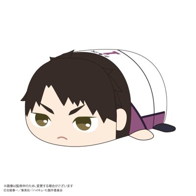 现货 MAX LIMITED 排球少年 牛岛若利 中号趴趴玩偶公仔vol2 日版