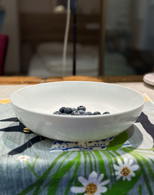 9.7英寸出口纯白骨瓷大碗沙拉碗洗碗机微波炉适用酒店会所餐具