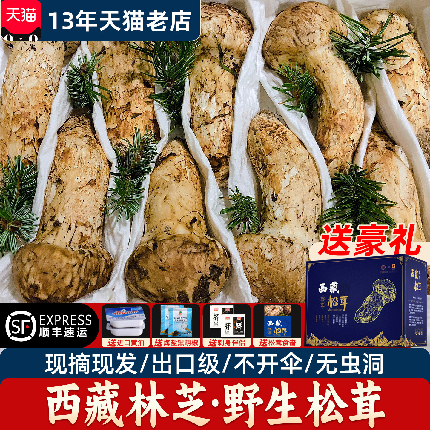 西藏新鲜松茸野生林芝松茸菌菇未开伞礼盒装松菌6~8CM鲜松茸菌菇