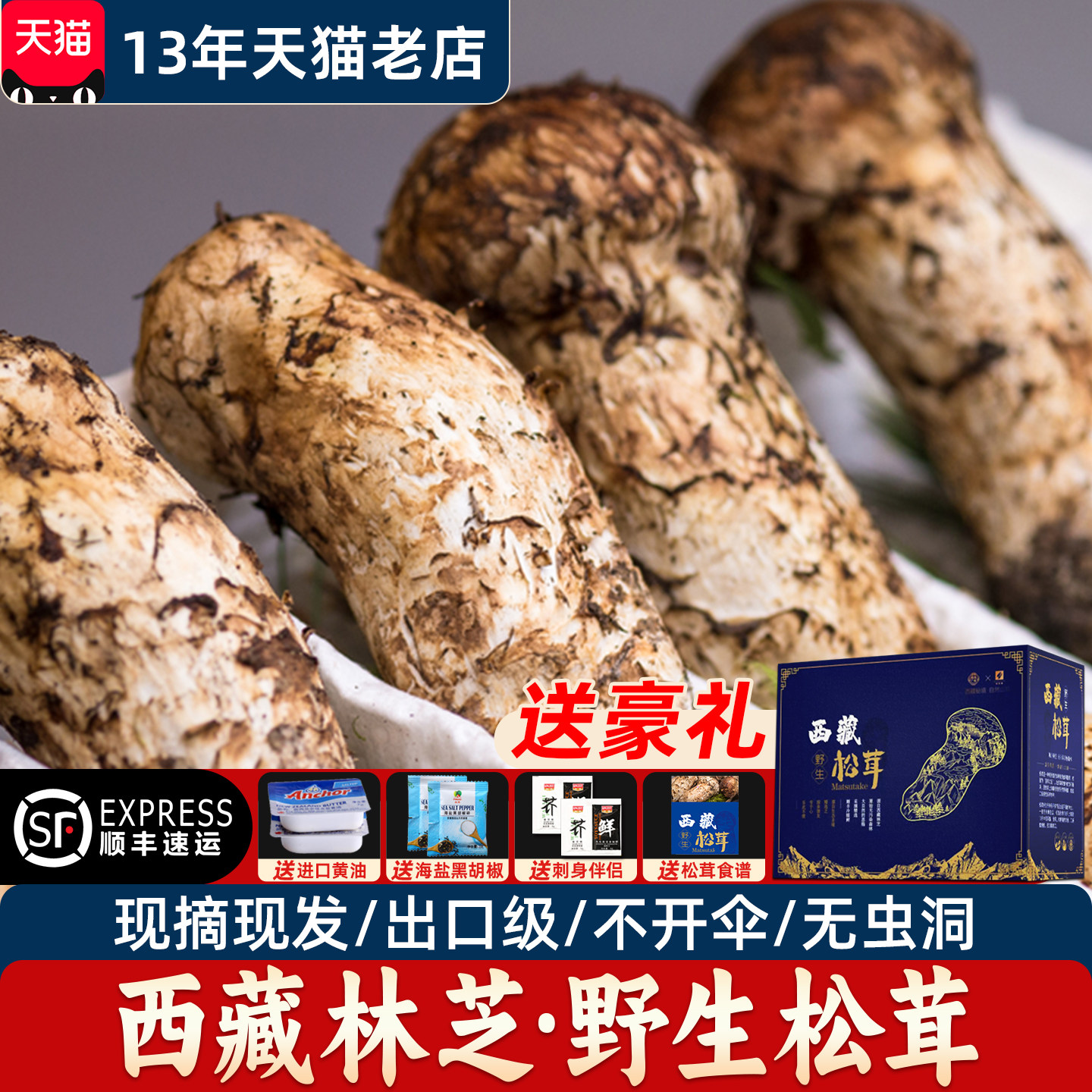 西藏新鲜松茸野生林芝松茸菌菇5A极上极8~10cm未开伞非云南鲜松茸
