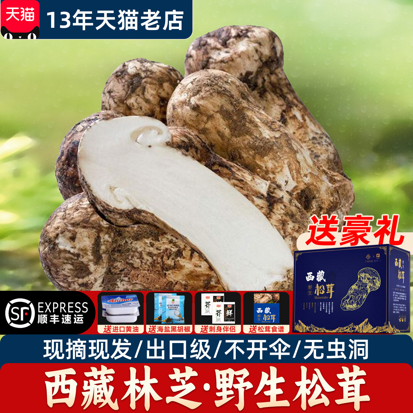 西藏新鲜松茸野生林芝松茸菌菇未开伞礼盒装松菌8~10CM鲜松茸菌菇