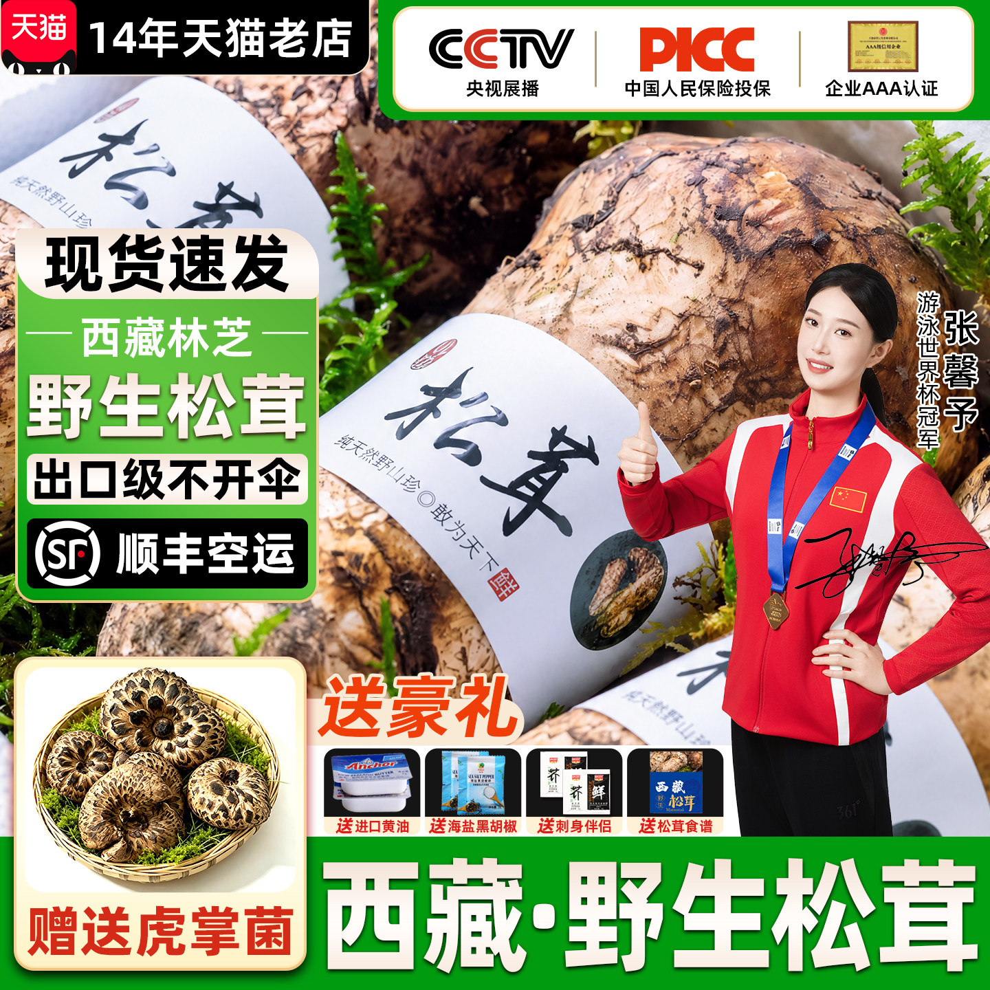 西藏新鲜松茸野生林芝松茸菌菇未开伞礼盒装松菌非香格里拉鲜松茸