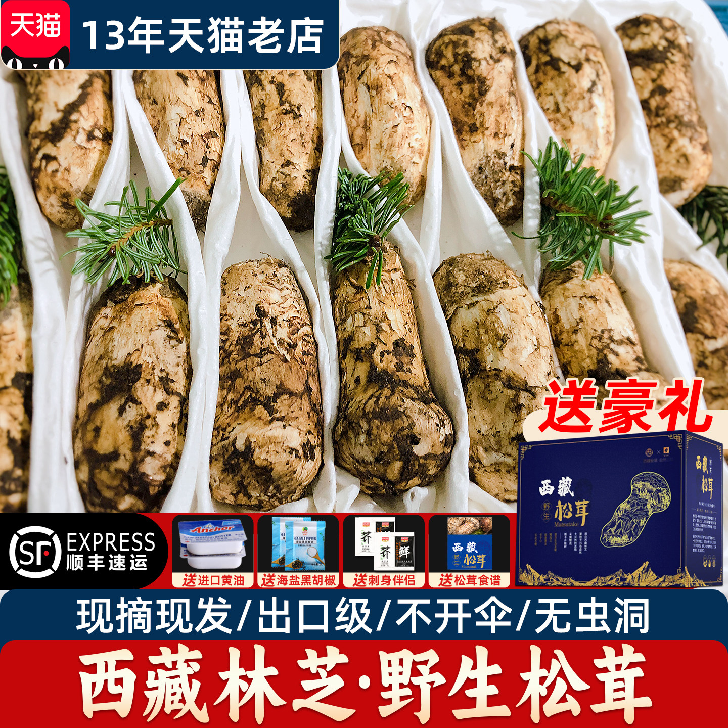 西藏林芝新鲜野生松茸出口级未开伞野生松茸菌云南松茸菌菇旗舰店