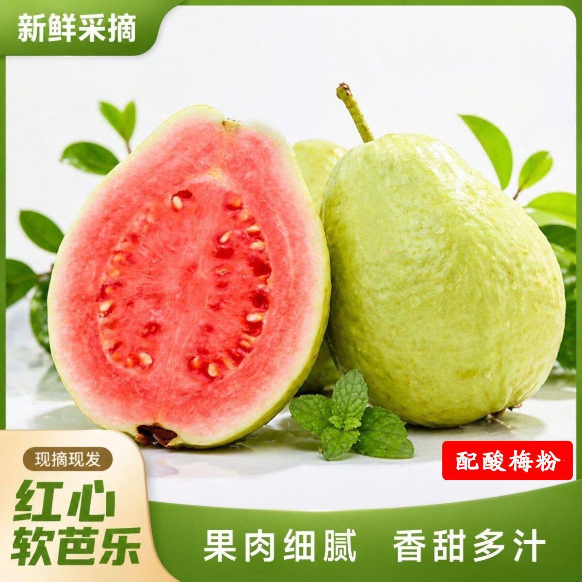 广西芭乐红心番石榴5斤包邮 新鲜热带当季时令水果现摘现发潘石榴