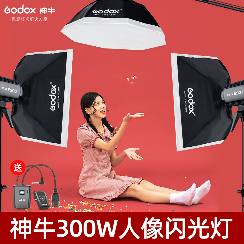 神牛E300摄影闪光灯棚拍摄静物淘宝电商产品拍照影室证件照摄影灯
