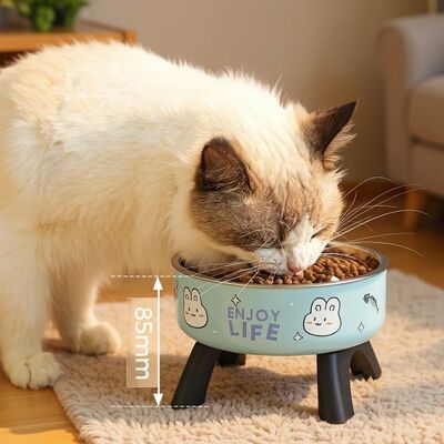 Anti-Tip Stainless Steel Pet Bowl with Cute Bunny Design | E