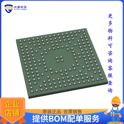 SAM9X60D6K-I/4GB微控器《IC MPU SAM9X 600MHZ 196TFBGA》