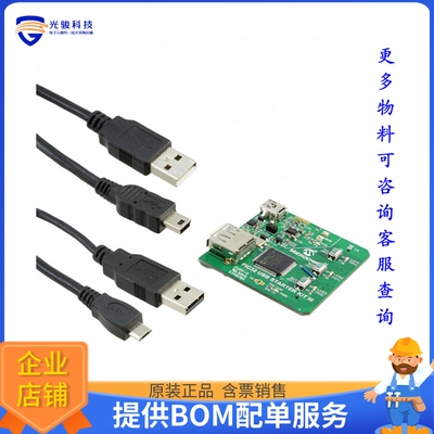 DM320003-3[PIC32 USB STARTER KIT III]评估板