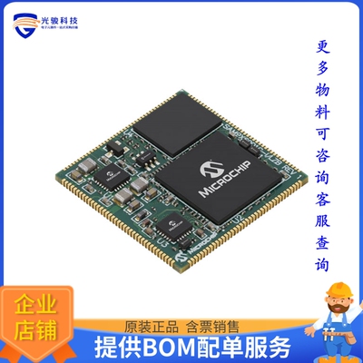 SAM9X60D1G-I/LZB微控器《IC MPU SAM9X 600MHZ》