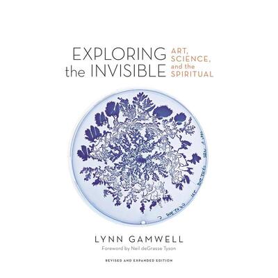 【现货】探索无形：艺术、科学和精神（修订扩展版） Exploring the Invisible 原版英文艺术画册画集图书