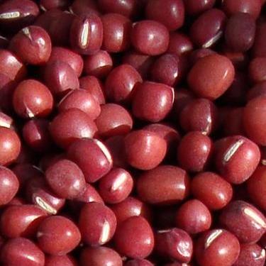山东80后农民自产小红豆赤小豆红小豆500克粗粮五谷杂粮
