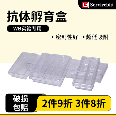 赛维尔WB抗体孵化盒多规格收纳盒