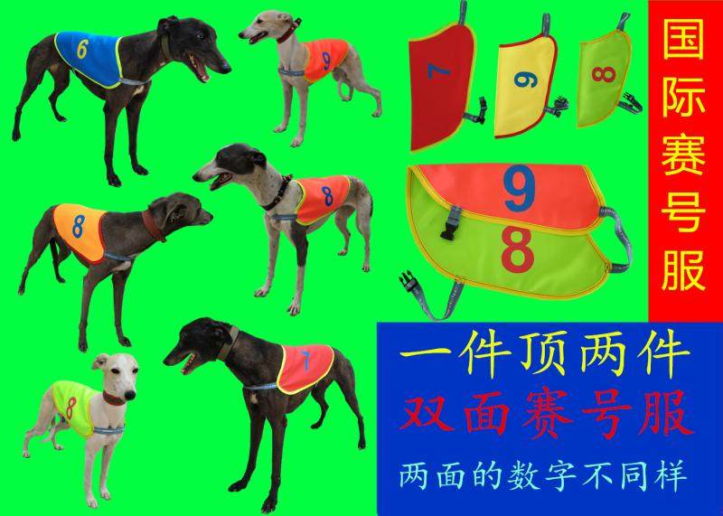 格力犬号服狗衣服马甲双面赛号服吊带式赛服狗背心狗马甲加工定制