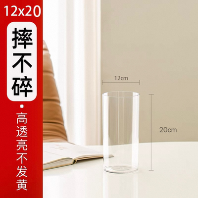 【玛丽安专用花瓶】亚克力水培绿植玛丽安简约直筒水培花瓶摆件