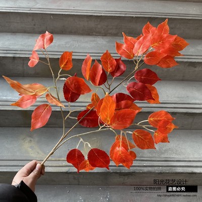 红色胶叶仿真菩提叶榉树叶石楠叶婚庆装扮摄影道具家居装饰乌桕叶