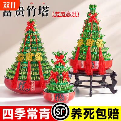 富贵竹塔摆件客厅装饰