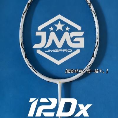 击破12DX羽毛球拍专业级别碳素