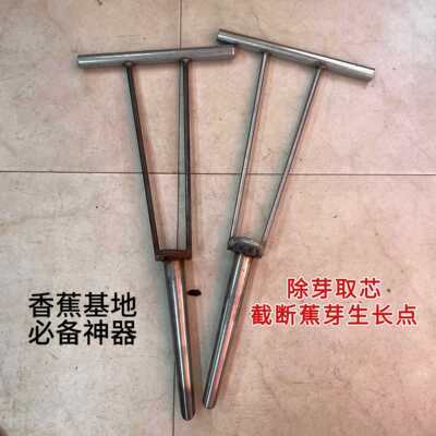 香蕉除芽铲锋利耐用不锈