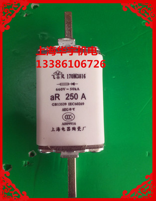 保险丝 170M3816 170M3816D 250A 690V/700V 熔断器