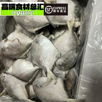 去内脏去鳃二去免杀小鲳鱼白鲳鱼新鲜鲳鱼鲜活冷冻白磷鲳鱼