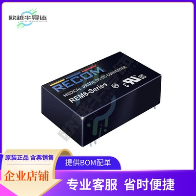 REM6-2412S/C【DC DC CONVERTER 12V 6W】