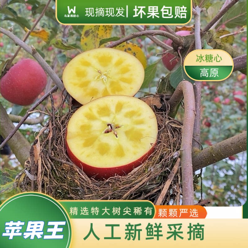 云南昭通野生丑苹果冰糖心新鲜脆甜孕妇水果树尖稀有优质特大果甜