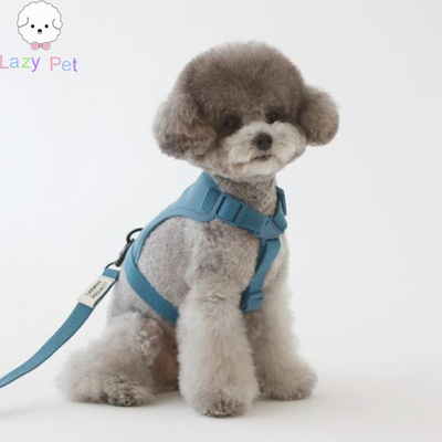 韩国宠物猫狗遛狗定制胸背牵引绳