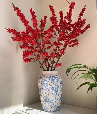 进口北美冬青年宵花水培绿植红果