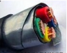 安徽天长市中盛电缆铠装控制软电缆 KVVRP22 44*1.5