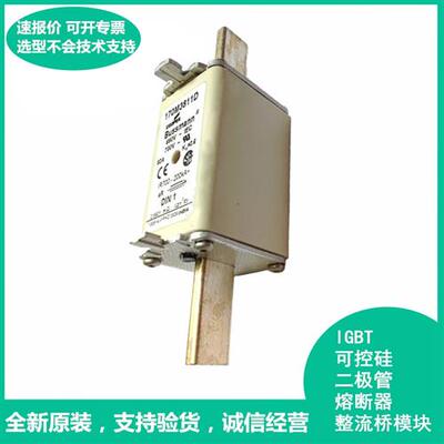 全新原装进口Bussmann保险丝 170M3811 690V~700V快断熔断器 欢迎