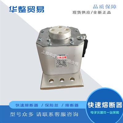 巴斯曼快速熔断器170M7090 170M7640 170M7658 170M7962