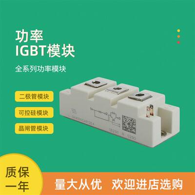 全新功率IGBT模块SKM145GAR124DN SKM195GAR124DN SKM100GAR126DN