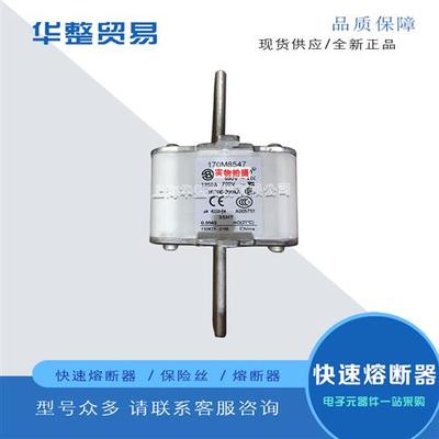 巴斯曼快速熔断器170M8540 170M8541 170M8542 170M8543